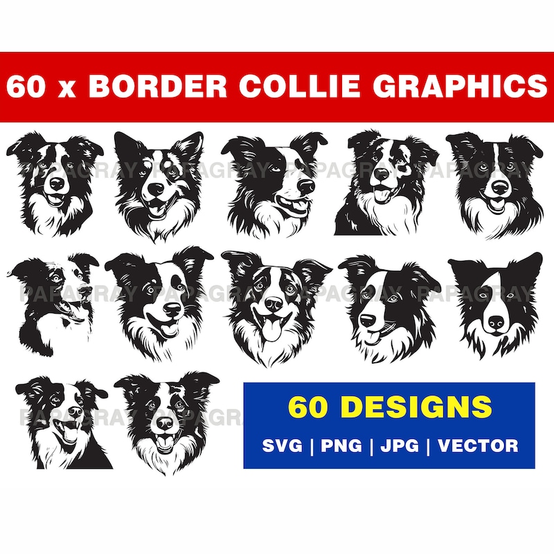 Border Collie Svg - Etsy