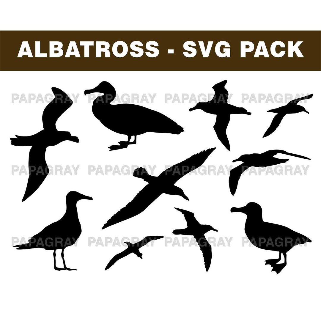 Albatross Silhouette Pack 10 Designs Digital Download Albatross SVG ...