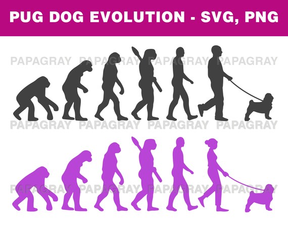 Pug Dog SVG Evolution Digital Download Pug SVG Pug Dog - Etsy