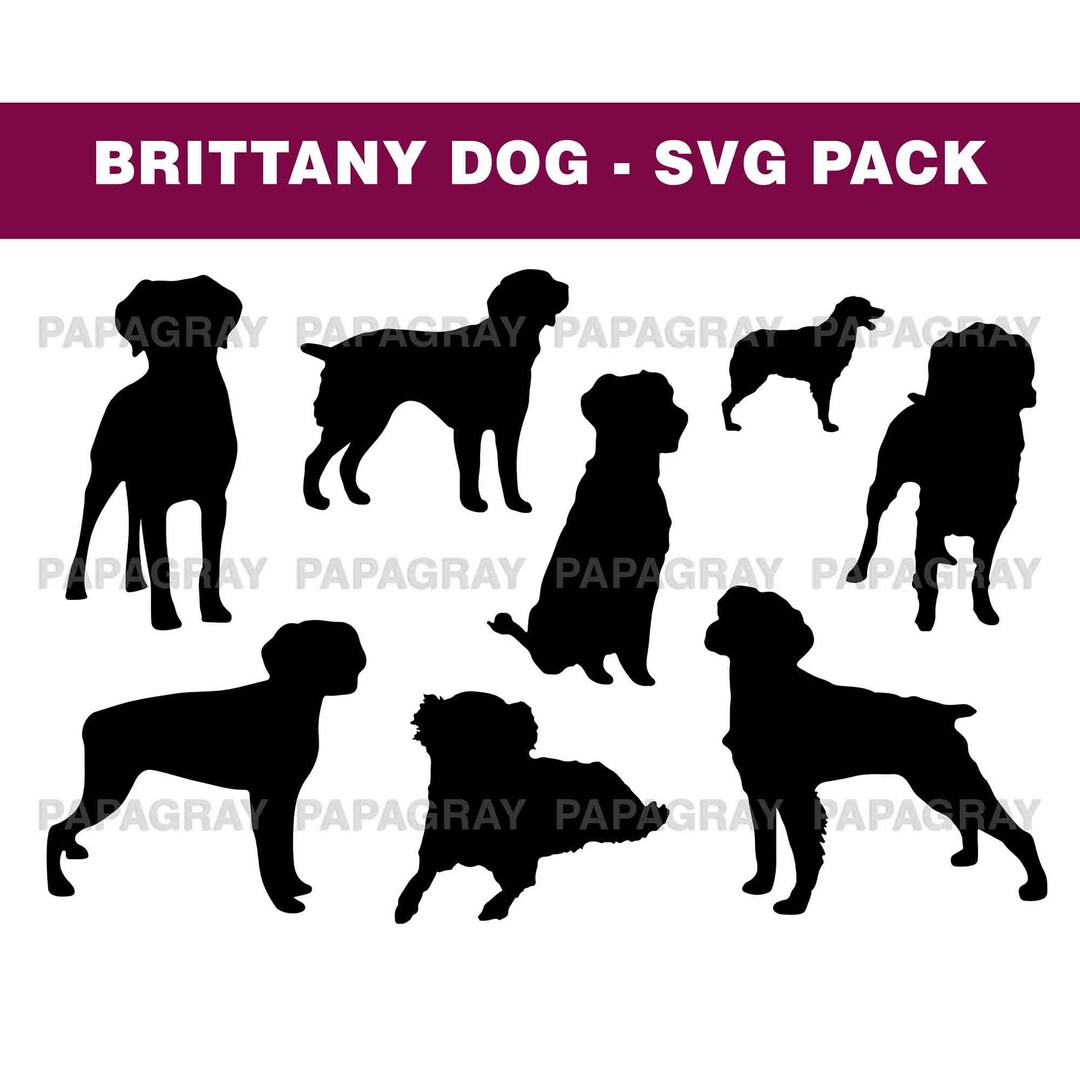 Brittany Dog SVG Silhouette Pack 8 Designs Digital Download Brittany ...