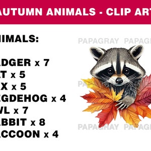 Autumn Animals Clip Art Pack - 40 Designs | Digital Download | Hedgehog ...