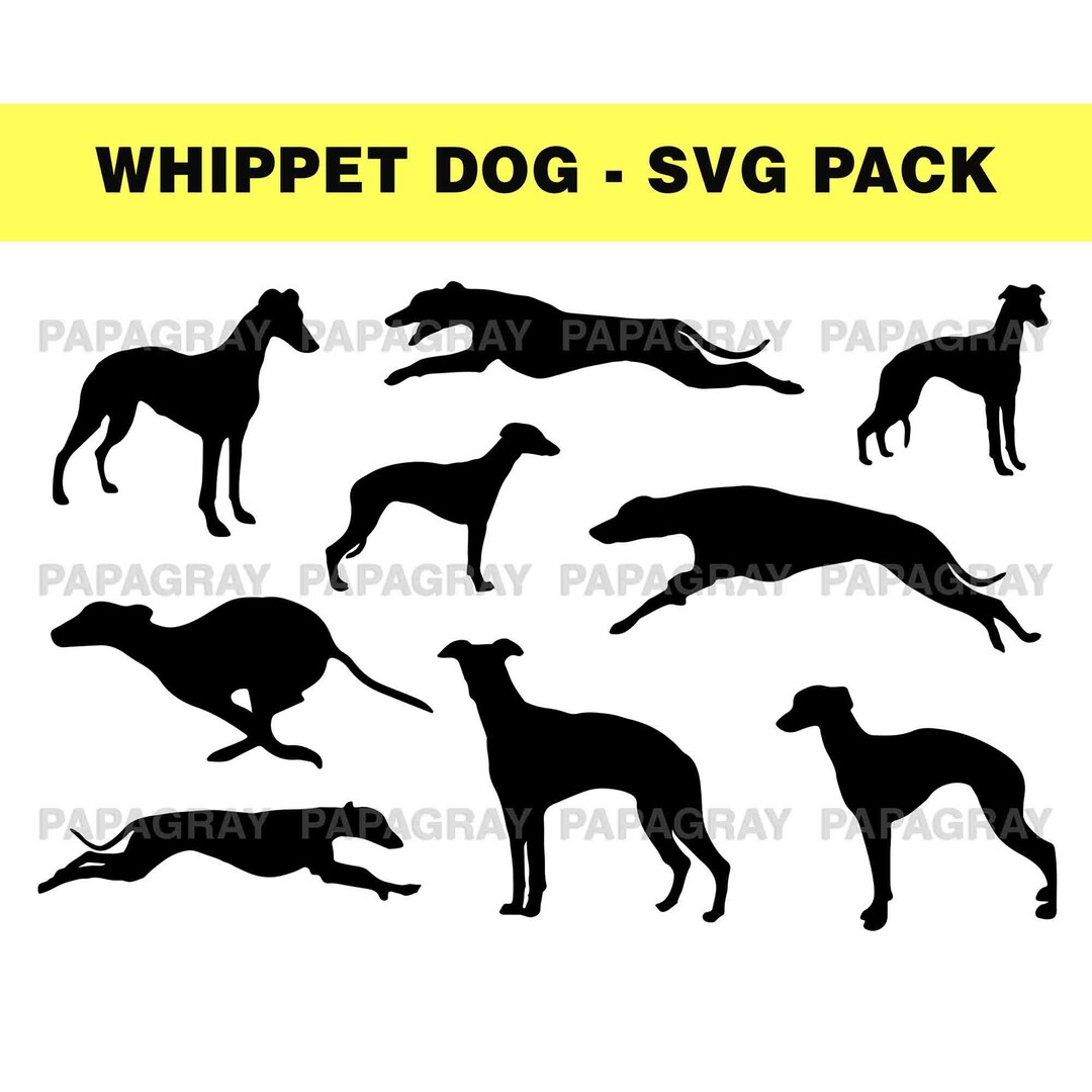 Whippet Dog SVG Silhouette Pack - 10 Designs | Digital Download ...
