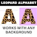 Leopard Print Alphabet PNG - Clip Art BUNDLE PACK | Digital Download ...