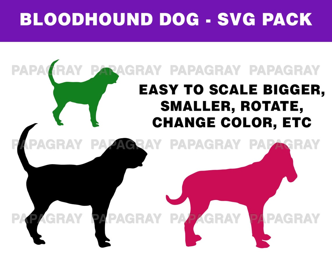 Bloodhound Dog Silhouette Pack 10 Designs Digital Download - Etsy