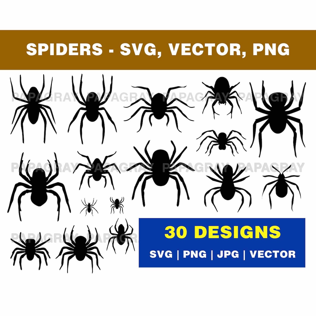 Spiders SVG Bundle - 30 Designs | Digital Download | Arachnid Vector ...