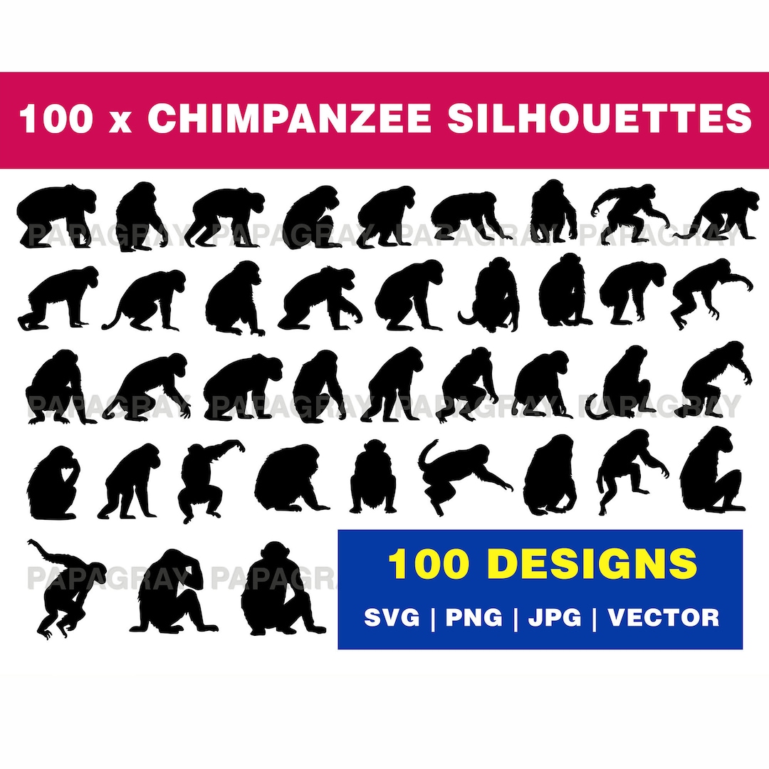 Chimpanzee Silhouette Pack - 100 Designs | Digital Download ...