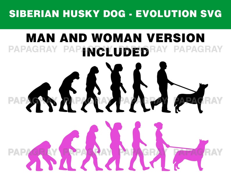 Siberian Husky Dog SVG Evolution Graphic Digital Download - Etsy