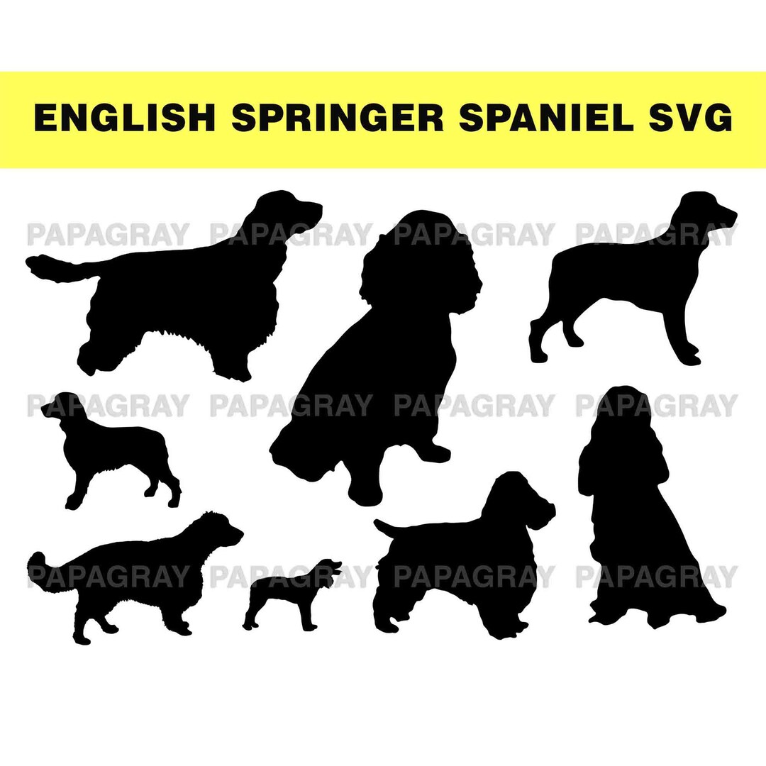 English Springer Spaniel Dog Silhouette Pack - 9 Designs | Digital ...