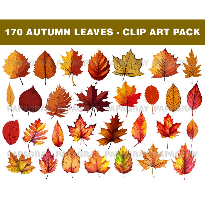 Autumn Clip Art - Etsy