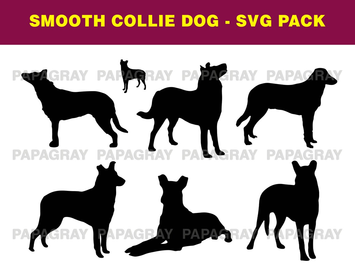 Smooth Collie Dog Silhouette Pack 7 Designs Digital - Etsy