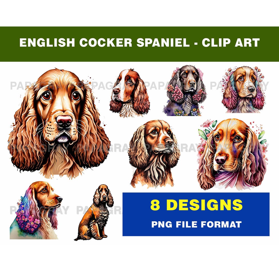 English Cocker Spaniel Dog Clip Art Pack - 8 Designs | Digital Download ...