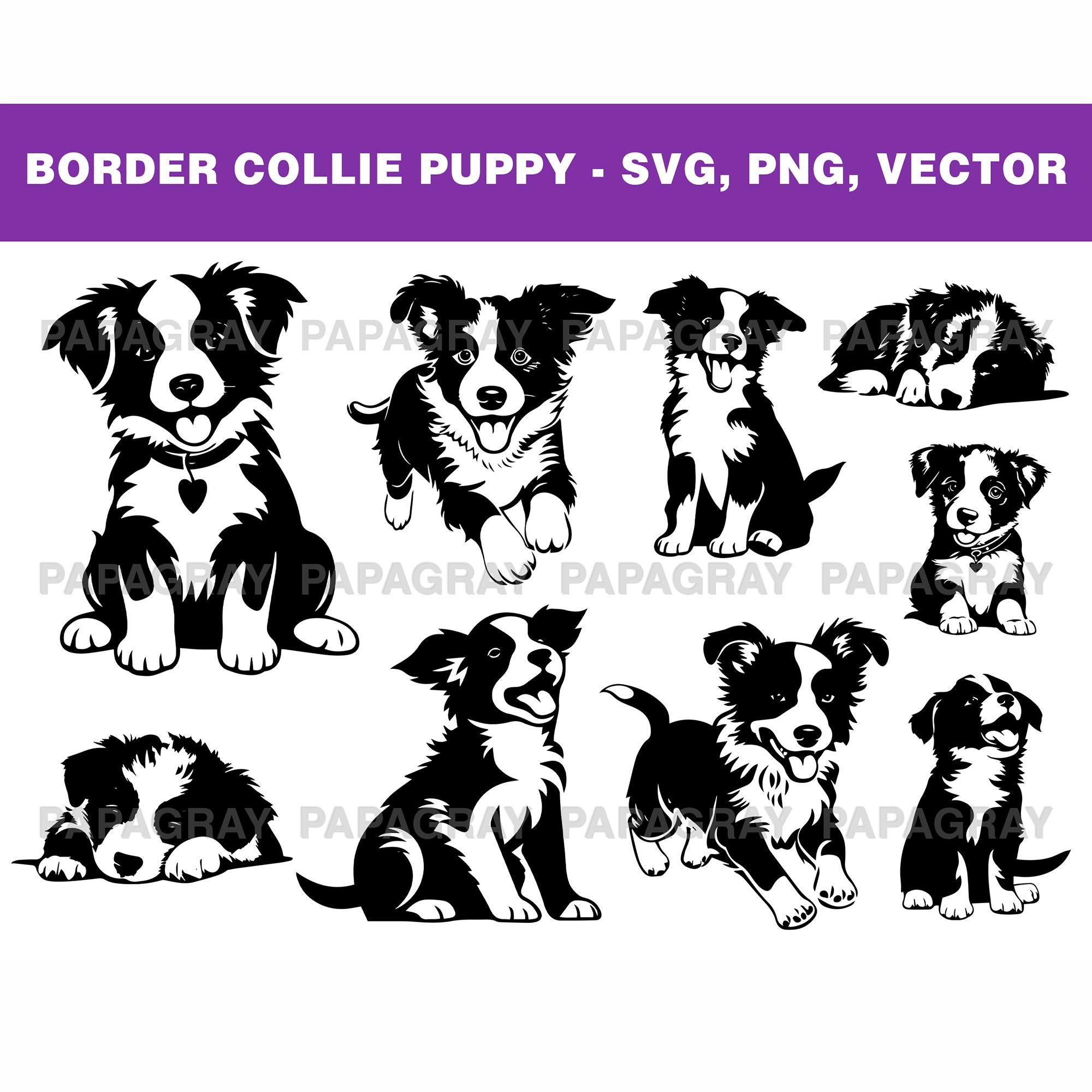 Border Collie Puppy SVG Pack: 12 Vector Designs (digital Download) - Etsy
