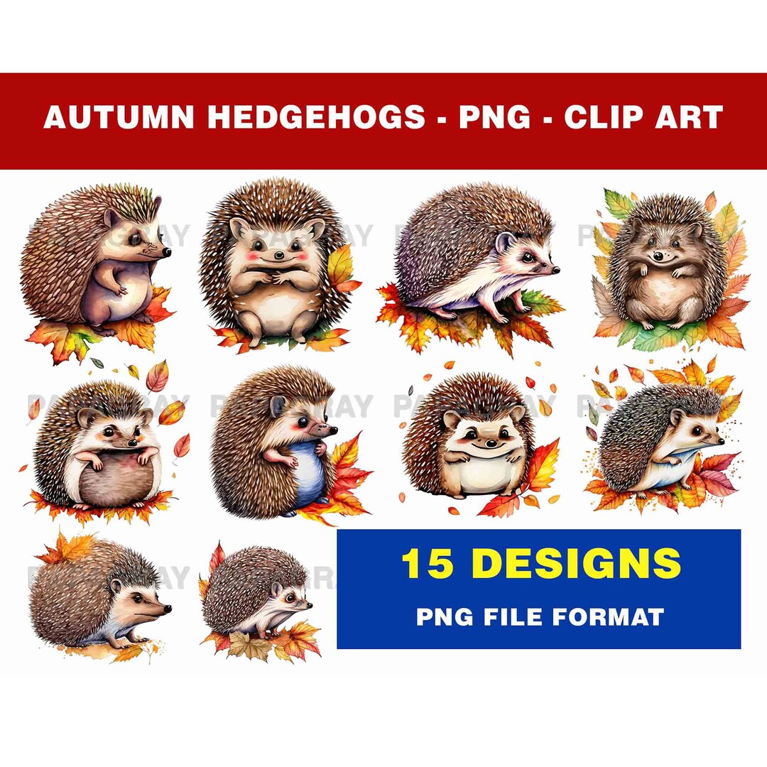 Autumn Hedgehog Clip Art Pack - 15 Designs | Digital Download ...
