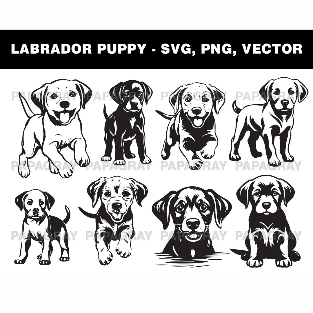 Labrador Puppy SVG Pack 10 Designs Digital Download Labrador Retriever ...