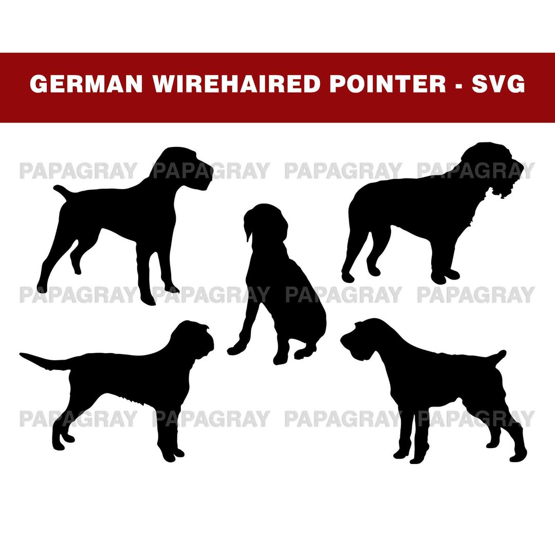 German Wirehaired Pointer SVG Dog Silhouette Pack 5 Designs Digital ...