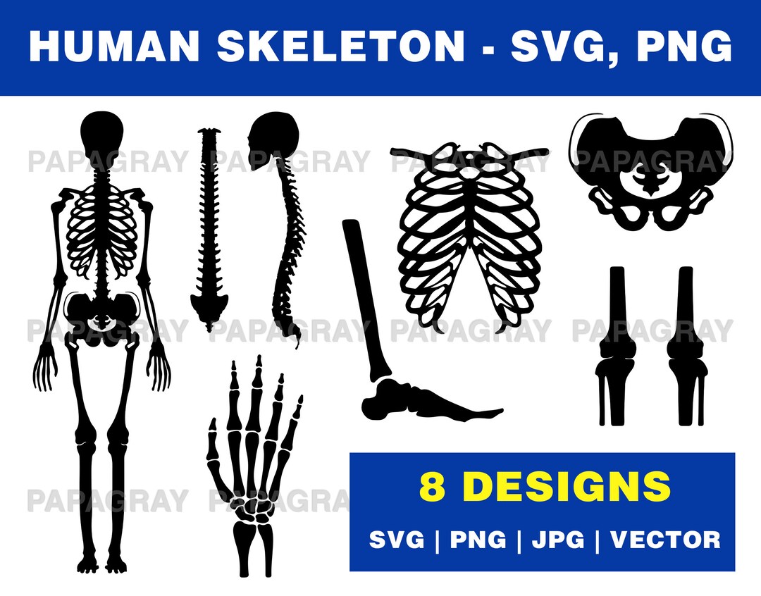 Human Skeleton Silhouette SVG Pack 8 Designs Digital Download Skeleton ...