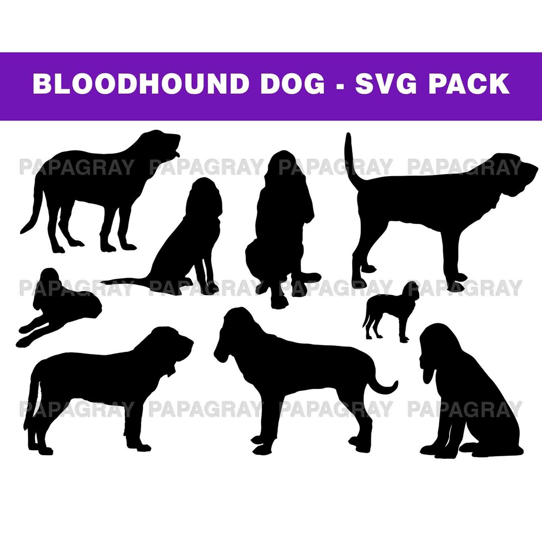 Bloodhound Dog Silhouette Pack - 10 Designs | Digital Download ...