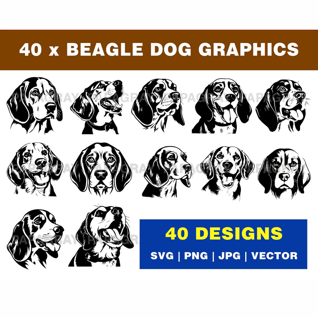 Beagle Dog Head SVG Graphic Pack - 40 Designs | Digital Download ...
