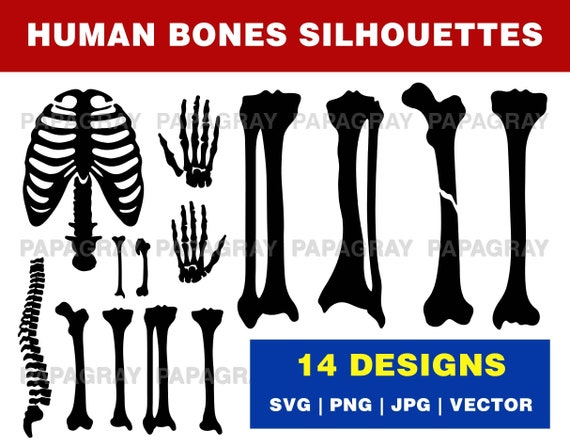 Human Bone Shape SVG Silhouette Pack 14 Designs Digital - Etsy Australia