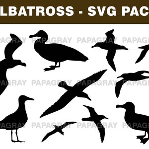 Albatross Silhouette Pack 10 Designs Digital Download - Etsy UK