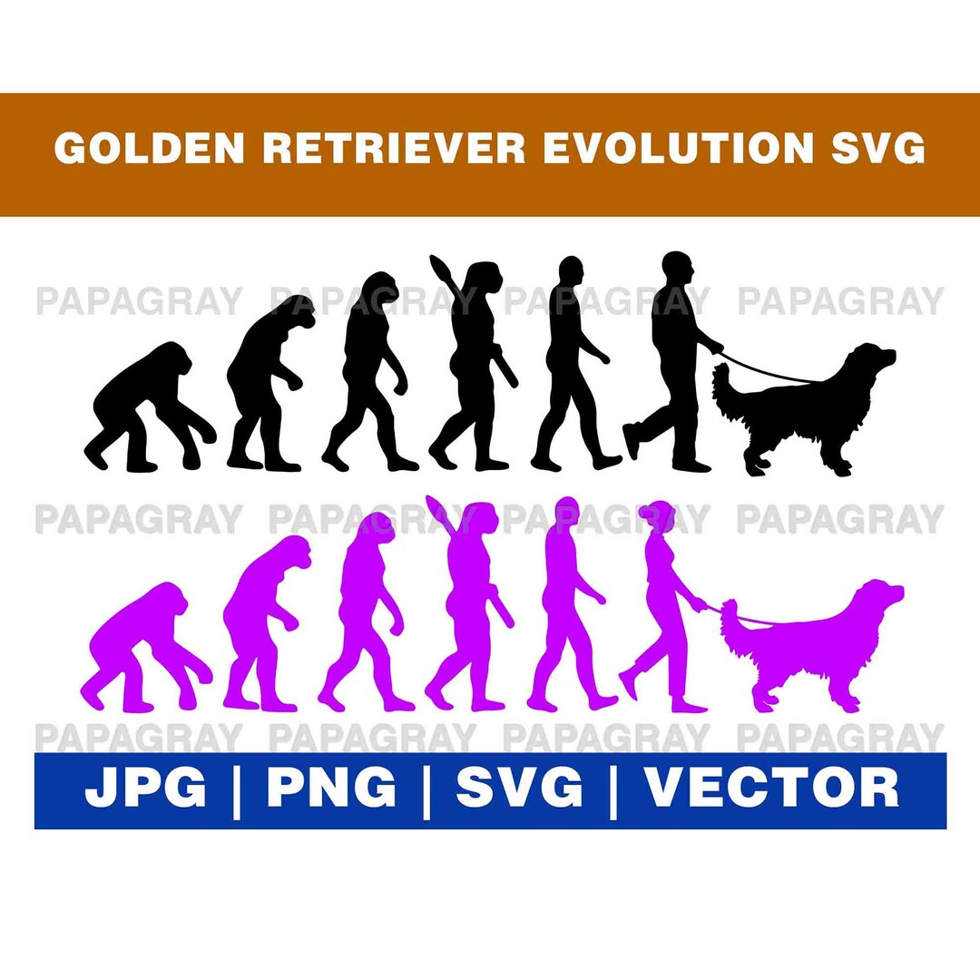 Golden Retriever Evolution SVG: Dog Silhouette Graphic (digital ...
