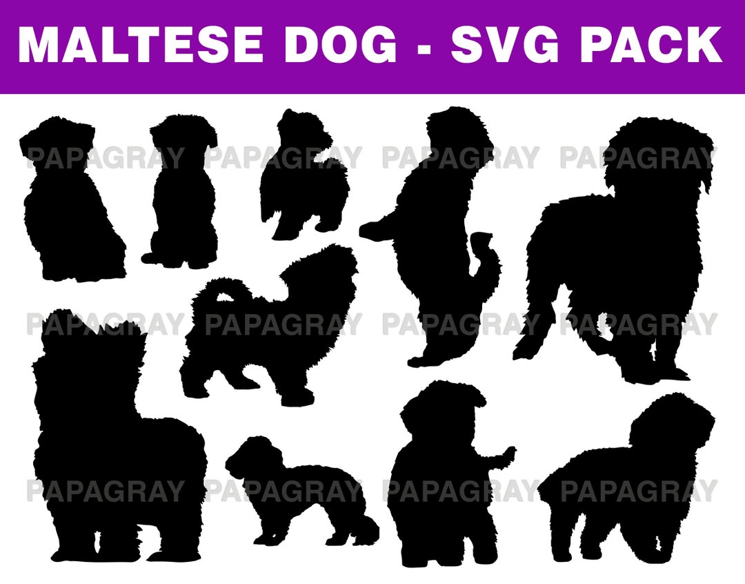 Maltese Dog Silhouette Pack 10 Designs Digital Download - Etsy