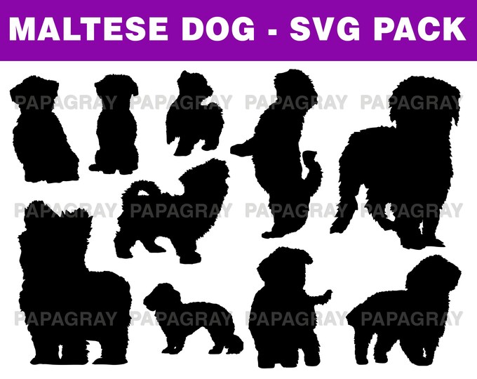 Maltese Dog Silhouette Pack 10 Designs Digital Download - Etsy