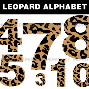 Leopard Print Alphabet PNG - Clip Art BUNDLE PACK | Digital Download ...