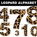 Leopard Print Alphabet PNG - Clip Art BUNDLE PACK | Digital Download ...