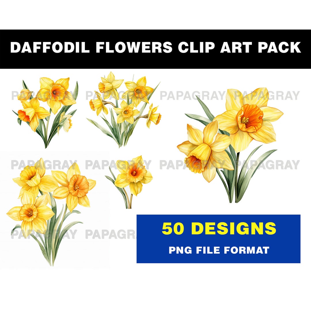 Daffodil Flowers Clip Art Mega Pack - 50 Designs | Digital Download ...