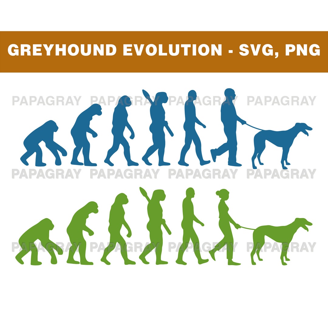Greyhound SVG Evolution | Digital Download | Greyhound SVG, Greyhound ...