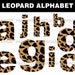 Leopard Print Alphabet PNG - Clip Art BUNDLE PACK | Digital Download ...