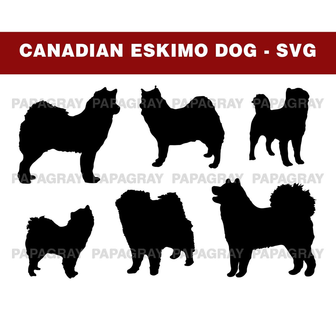 Canadian Eskimo Dog SVG Silhouette Pack - 6 Designs | Digital Download ...