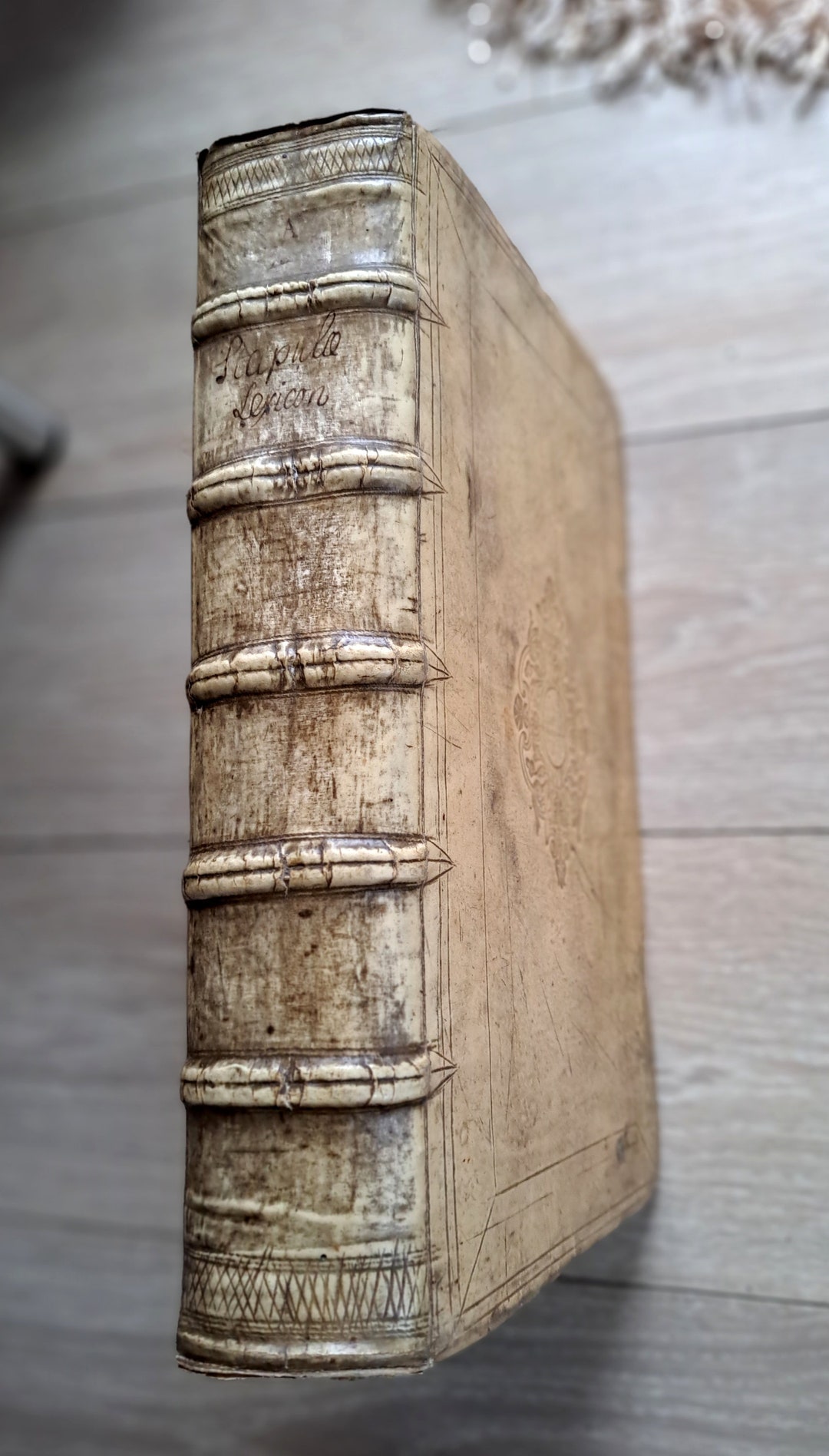 Year 1620 Incredible Rembrandt Was Painting When This 3.4 Kilo Book Got ...