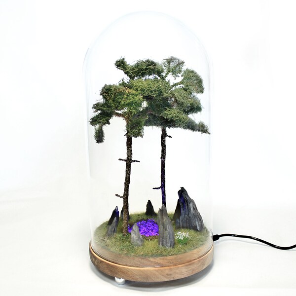 Glass Dome Diorama - Etsy