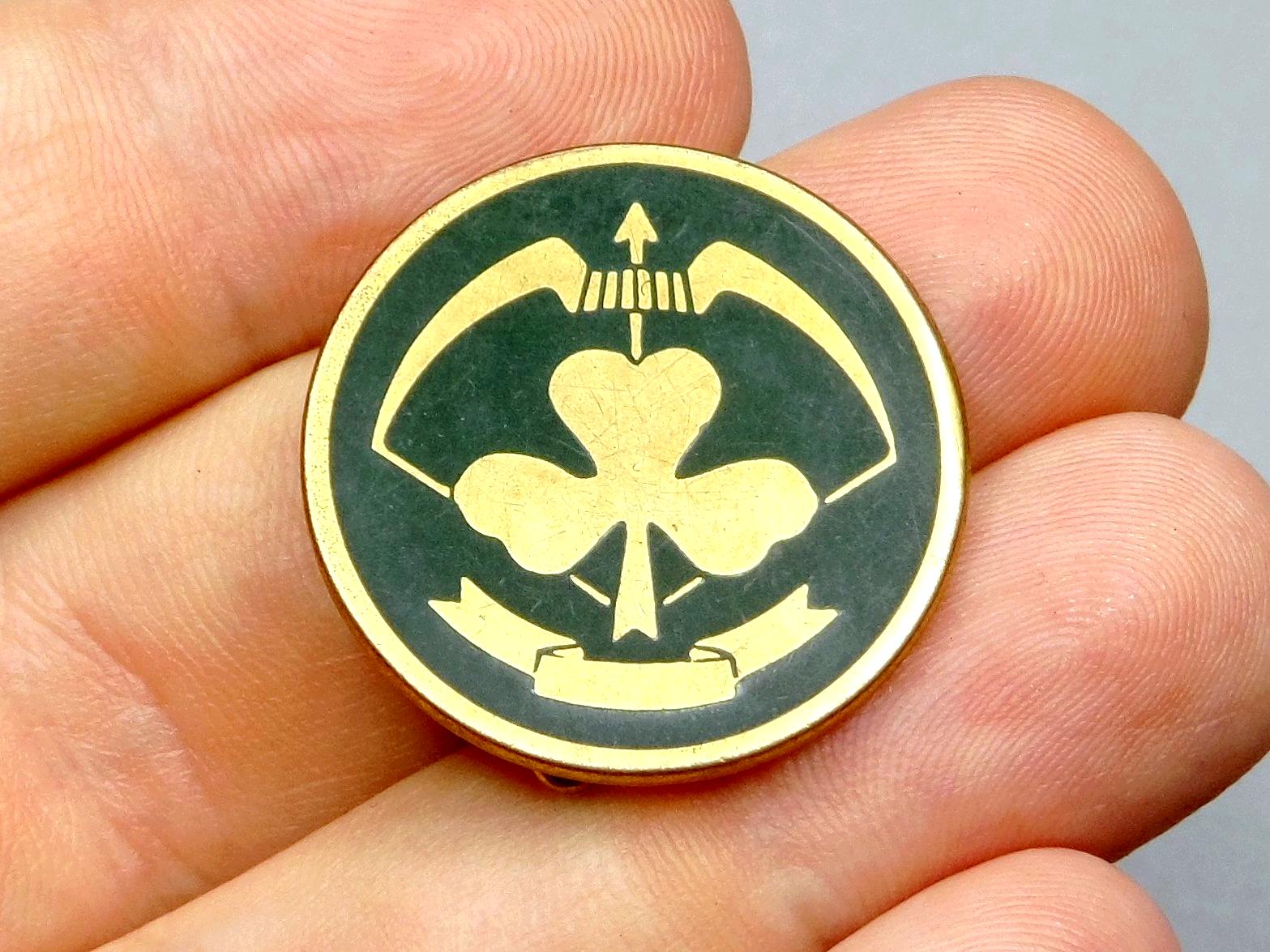 Scouts of France. Antique Enamel Scout Brooch. French Badge. - Etsy