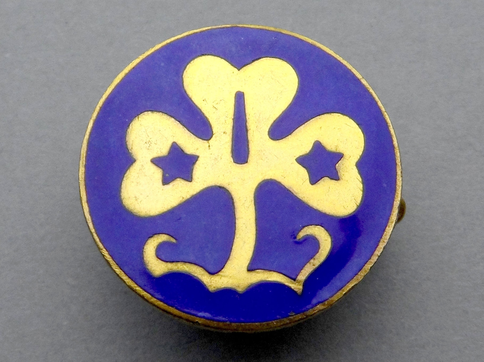 WAGGGS. World Association of Girl Guides and Girl Scouts. - Etsy