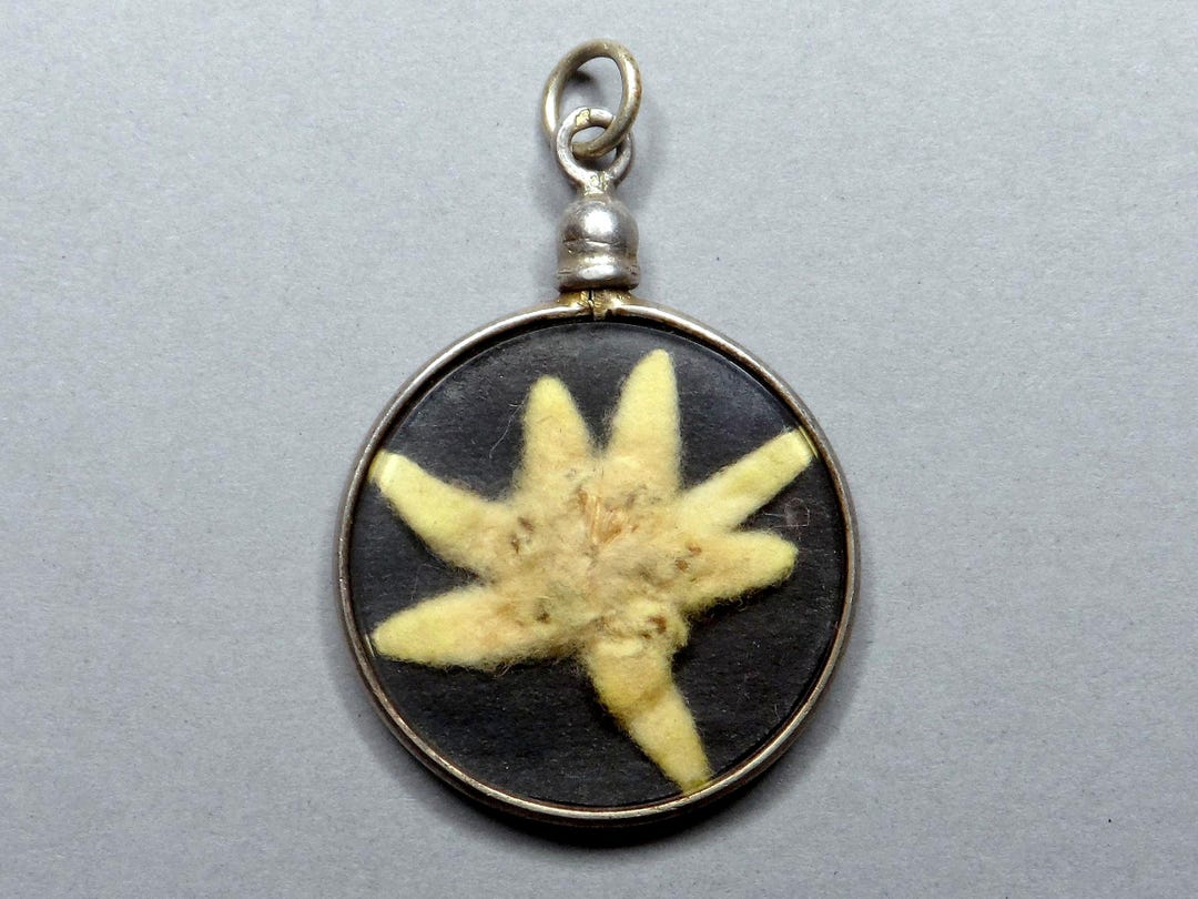 Edelweiss. Shaker Locket. Silver and Glass. Antique Large Pendant. - Etsy