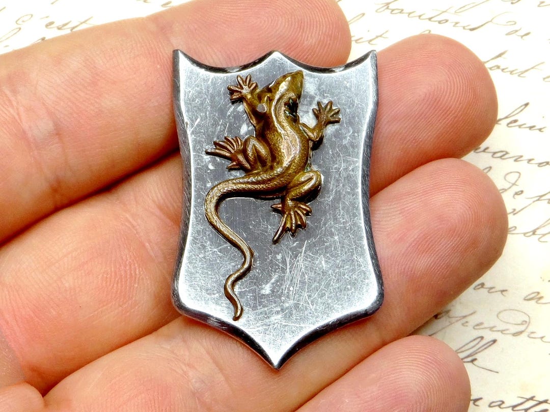 Lizard and Coat of Arms. Antique Large Brooch. - Etsy