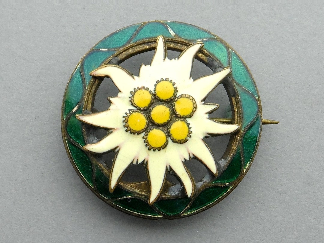 Edelweiss, Enamel Antique Large Brooch. - Etsy