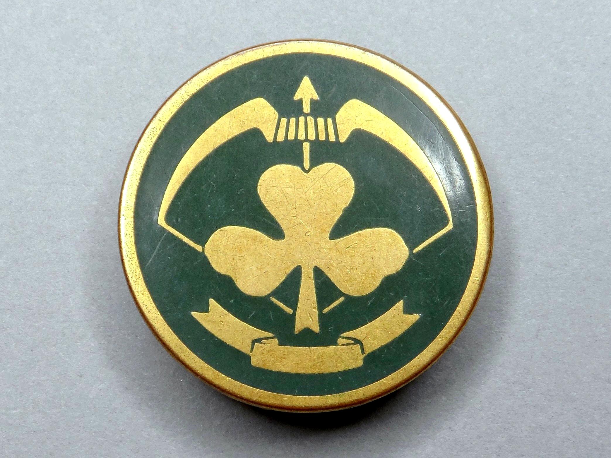 Scouts of France. Antique Enamel Scout Brooch. French Badge. - Etsy