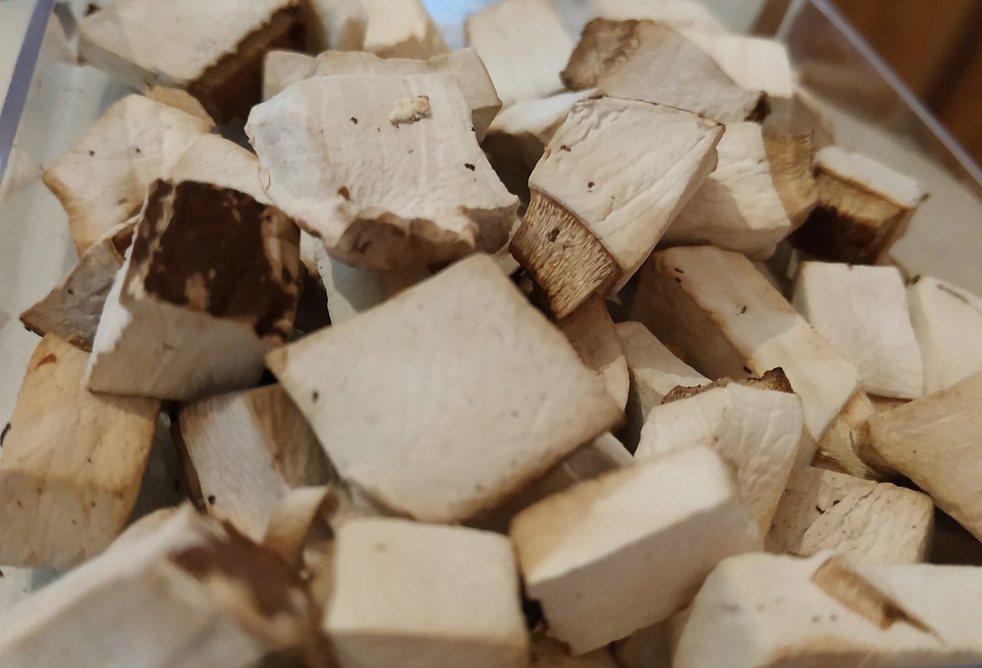 Organic Dried Birch Polypore Mushroom Tea Wild Harvest - Etsy