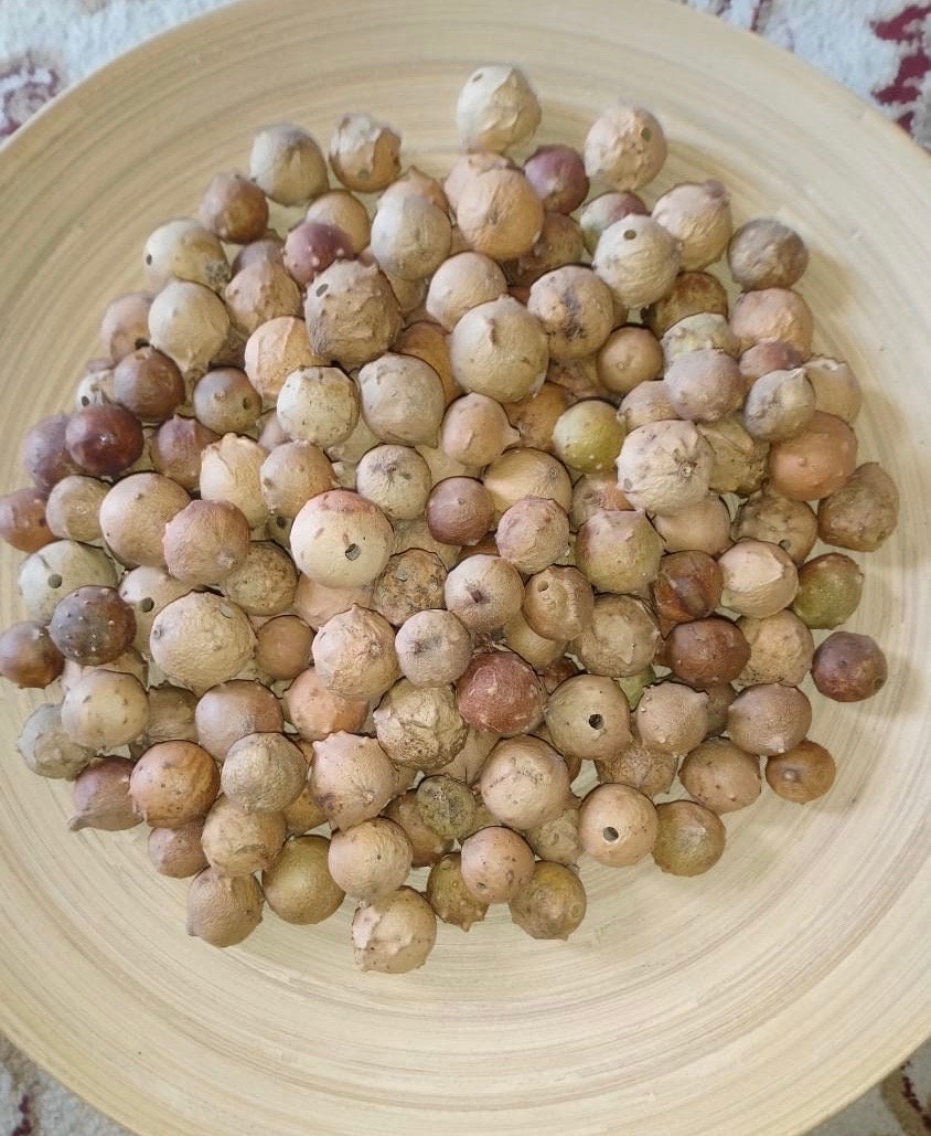 Bulk Oak Gallnut Oak Gall Extract Noix de Galle / Tannin - Etsy Nederland