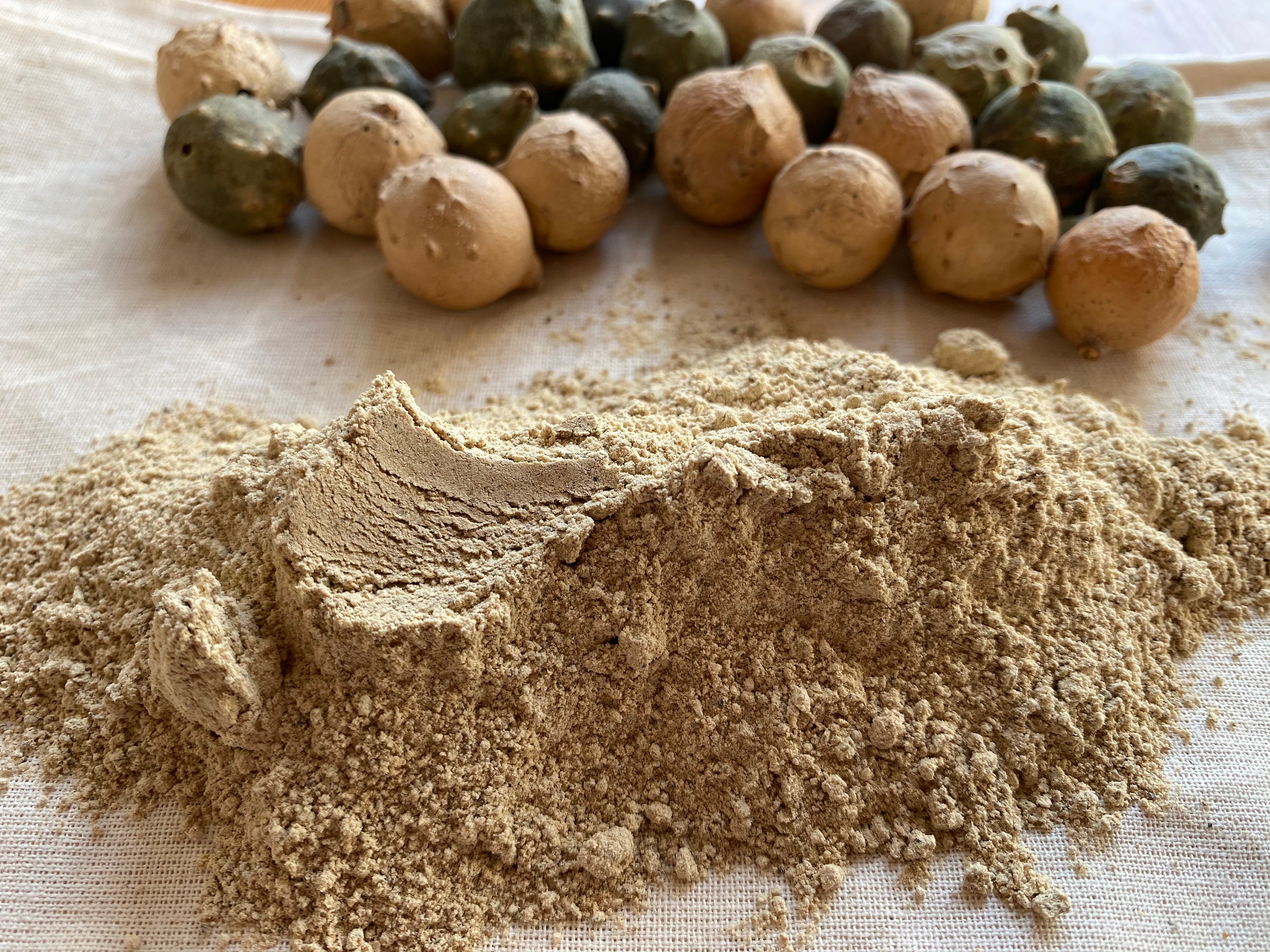 Bulk Oak Gallnut Oak Gall Extract Noix de Galle / Tannin - Etsy Nederland