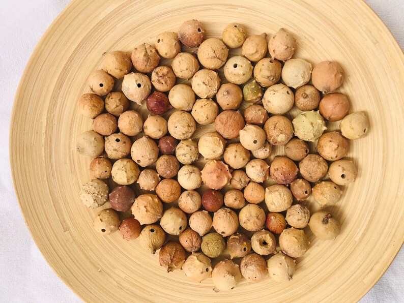 Oak Gallnuts 4.4lb Tannin 2kg Oak Gall ink Oak Gall - Etsy.de