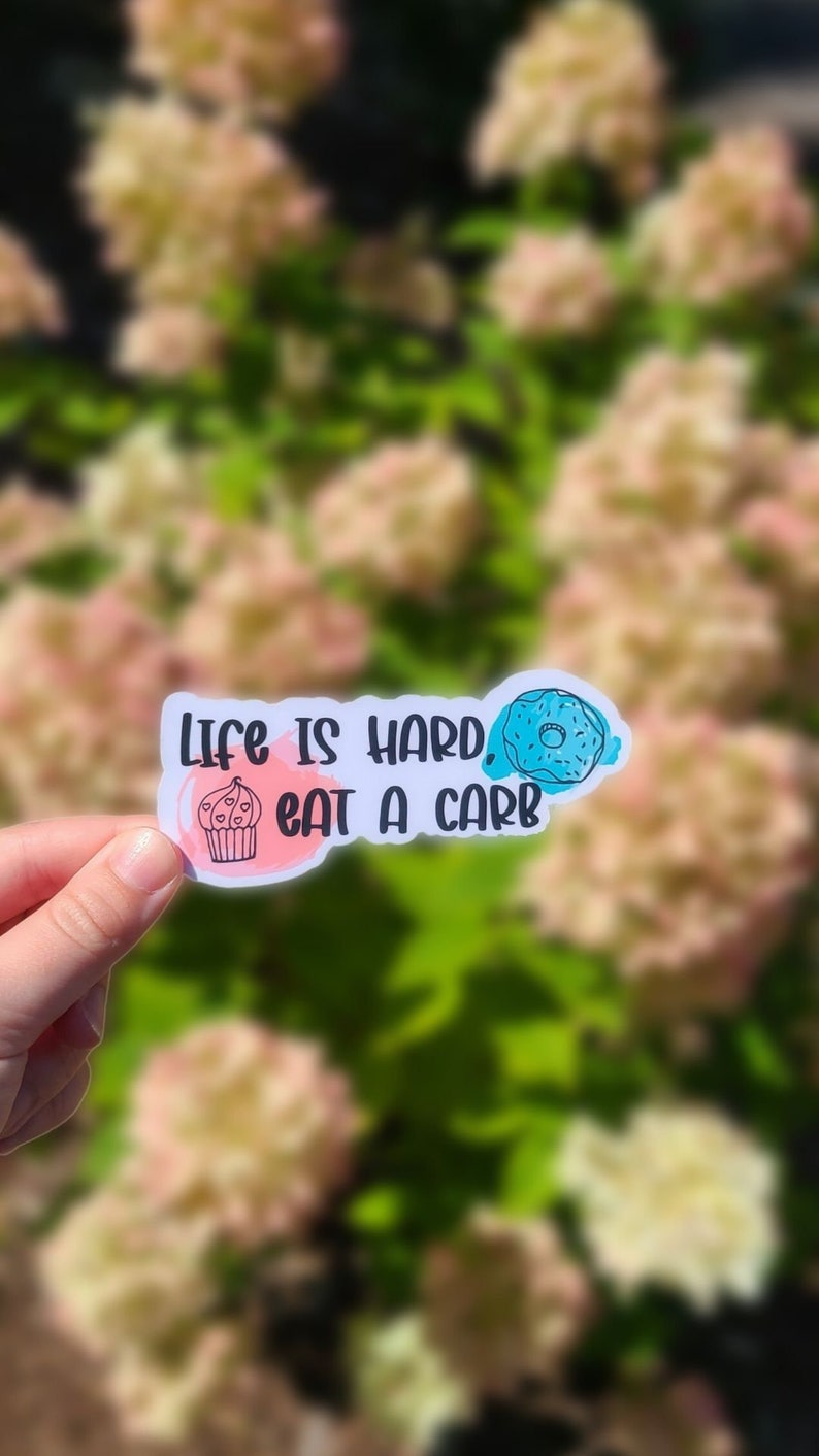 Life is Hard Eat a Carb Food Pun Sticker Funny Dessert | Etsy