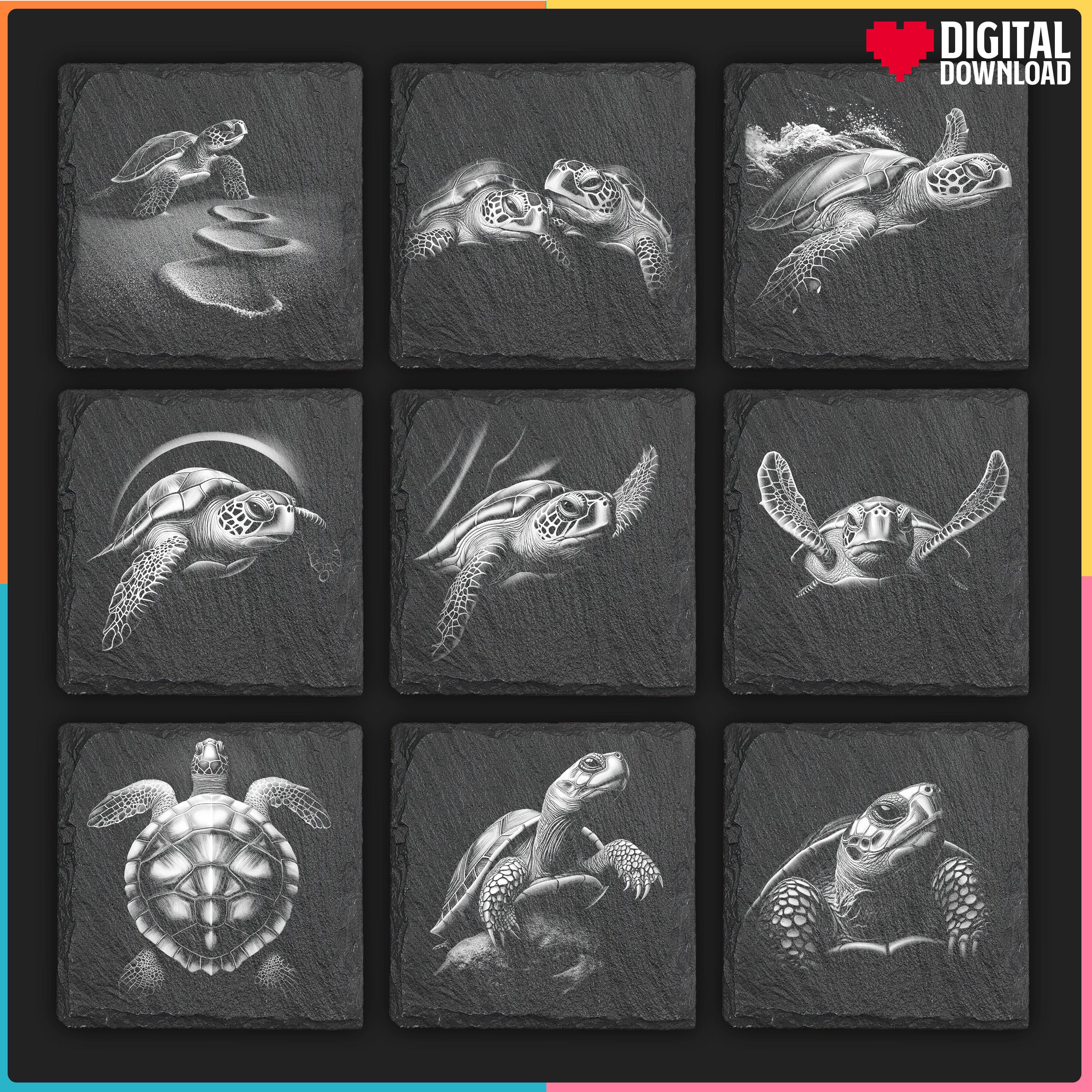 Sea Turtle Laser Png Files Bundle for Engraving Digital Download for ...