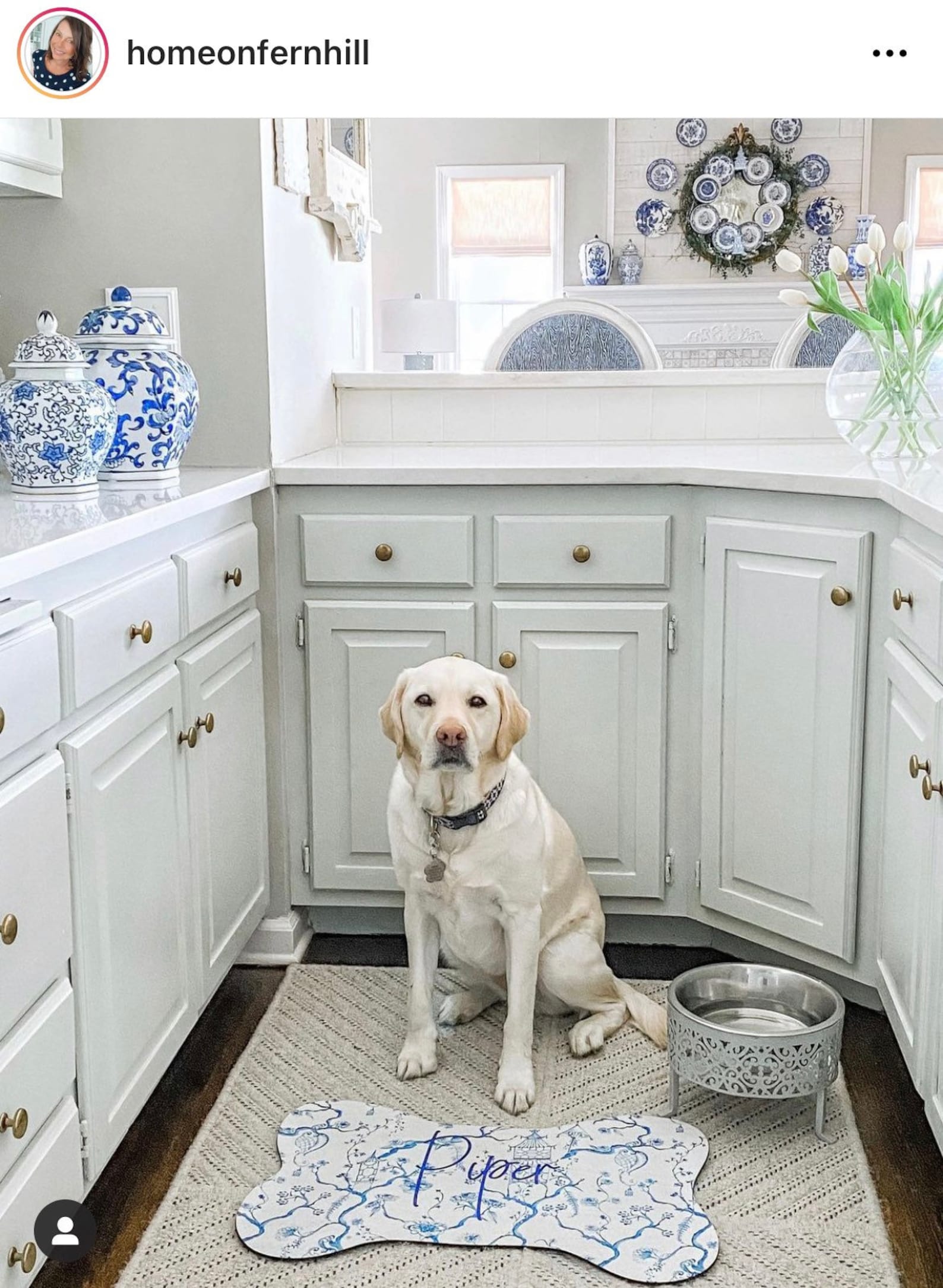 Chinoiserie Dog Bone Pet Mat Blue and White Bone Shaped Dog | Etsy