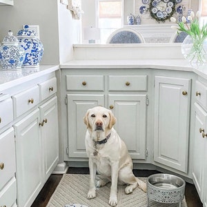 Chinoiserie Dog Bone Pet Mat, Blue and White Bone Shaped Dog Bowl Mat ...