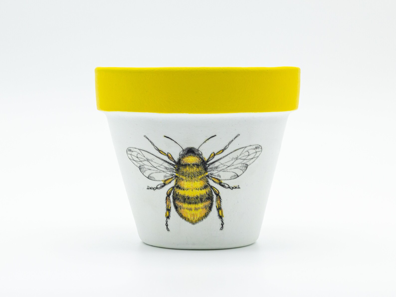 Pot Planter. Bee Plant Pot, Bumble Bee Flower Pot. Indoor Plant Pot ...